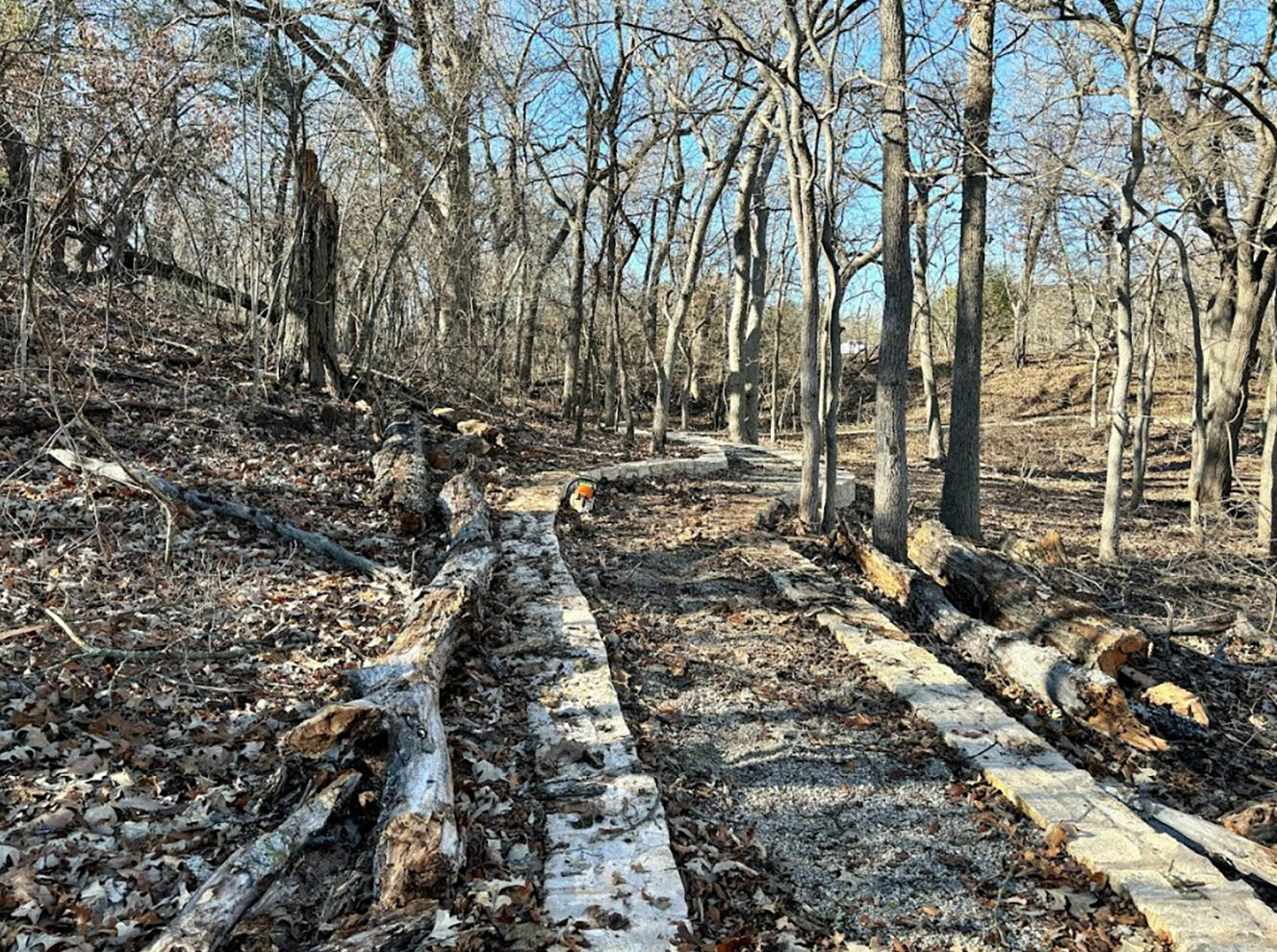 The Tree in the Trail – Friends of the Fort Worth Nature Center